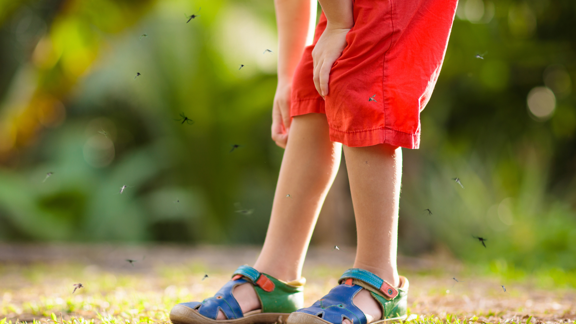 Alternative Bug and Insect Repellents | Natural, Plant-Based Protection ...