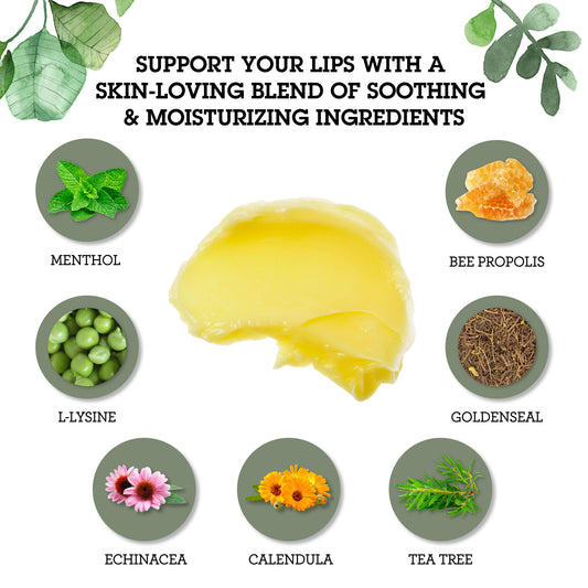 Lip Clear® Lysine Ointment - Cold Sore Treatment - Quantum Health