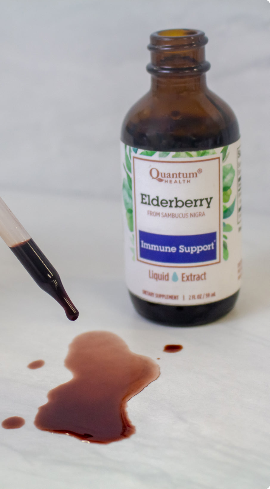 Elderberry Liquid Extract From Sambucus Nigra, 2 oz. - Quantum Health