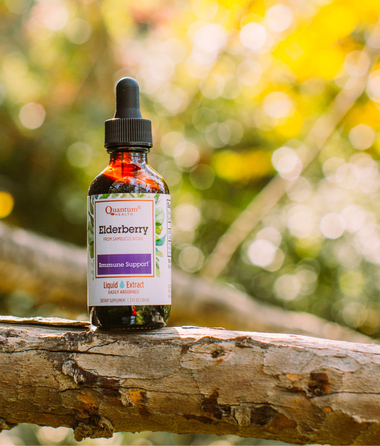 Elderberry Liquid Extract From Sambucus Nigra, 2 oz. - Quantum Health